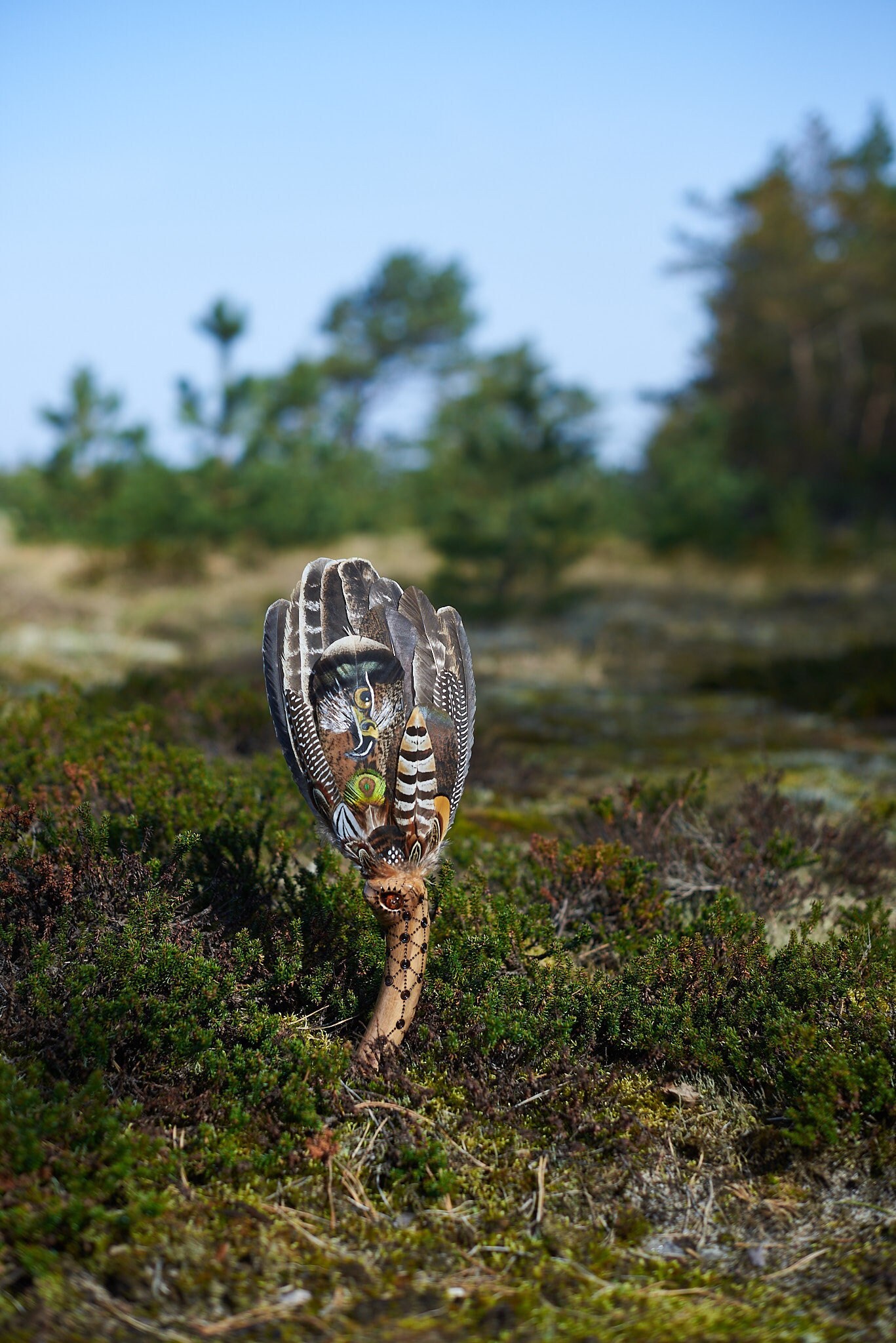 Shamanic Wing, Smudge Feather, Shaman Feather, Sage Kit, Palo Santo ...