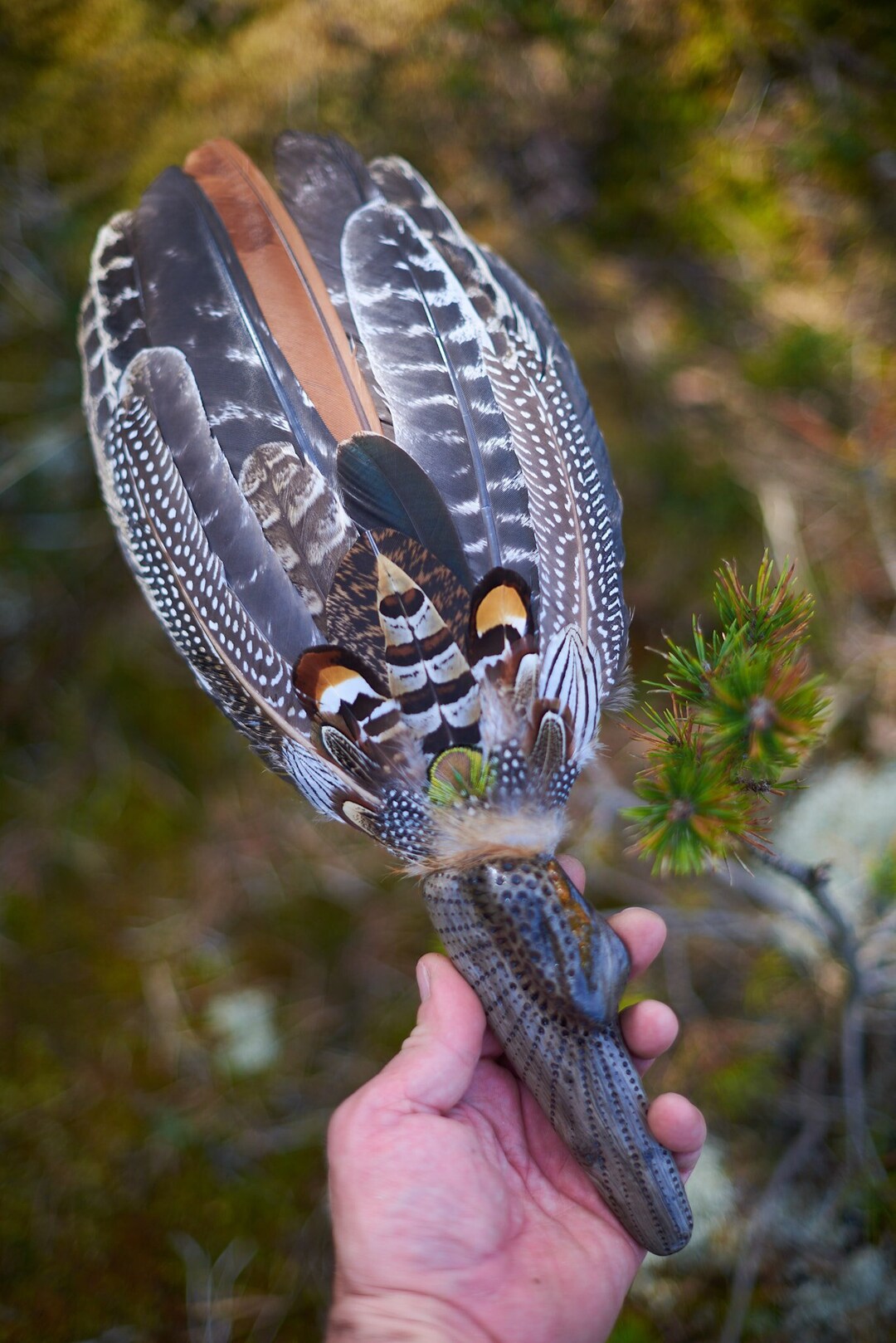 Sacred Prayer Fan, Shamanic Wing, Smudge Feather, Shaman Feather, Sage ...