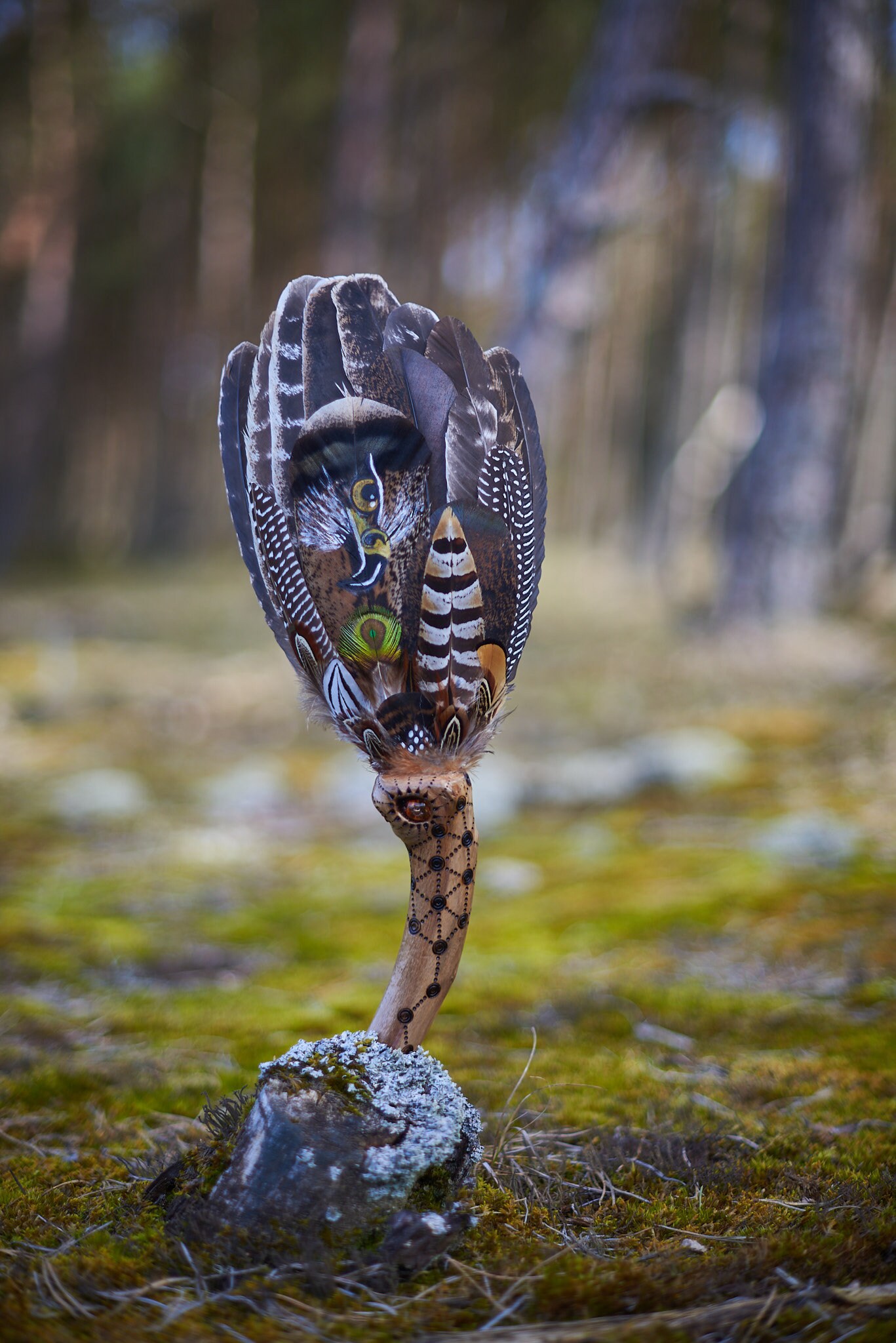 Shamanic Wing, Smudge Feather, Shaman Feather, Sage Kit, Palo Santo ...