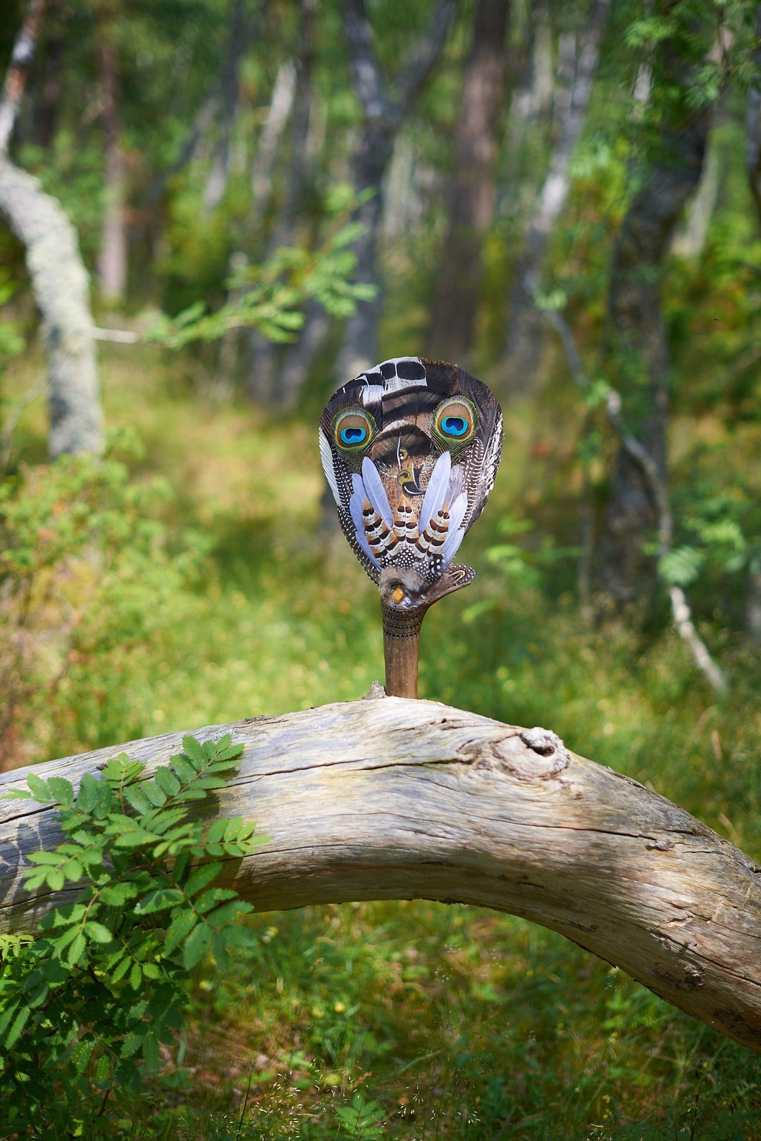 Sacred Prayer Fan, Shamanic Wing, Smudge Feather, Shaman Feather, Sage ...