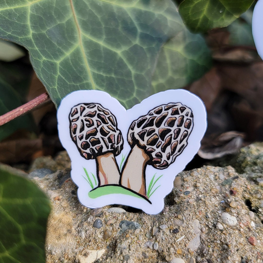 Morel Mushroom / Laminated Vinyl Sticker / Original Digital Art / Die ...
