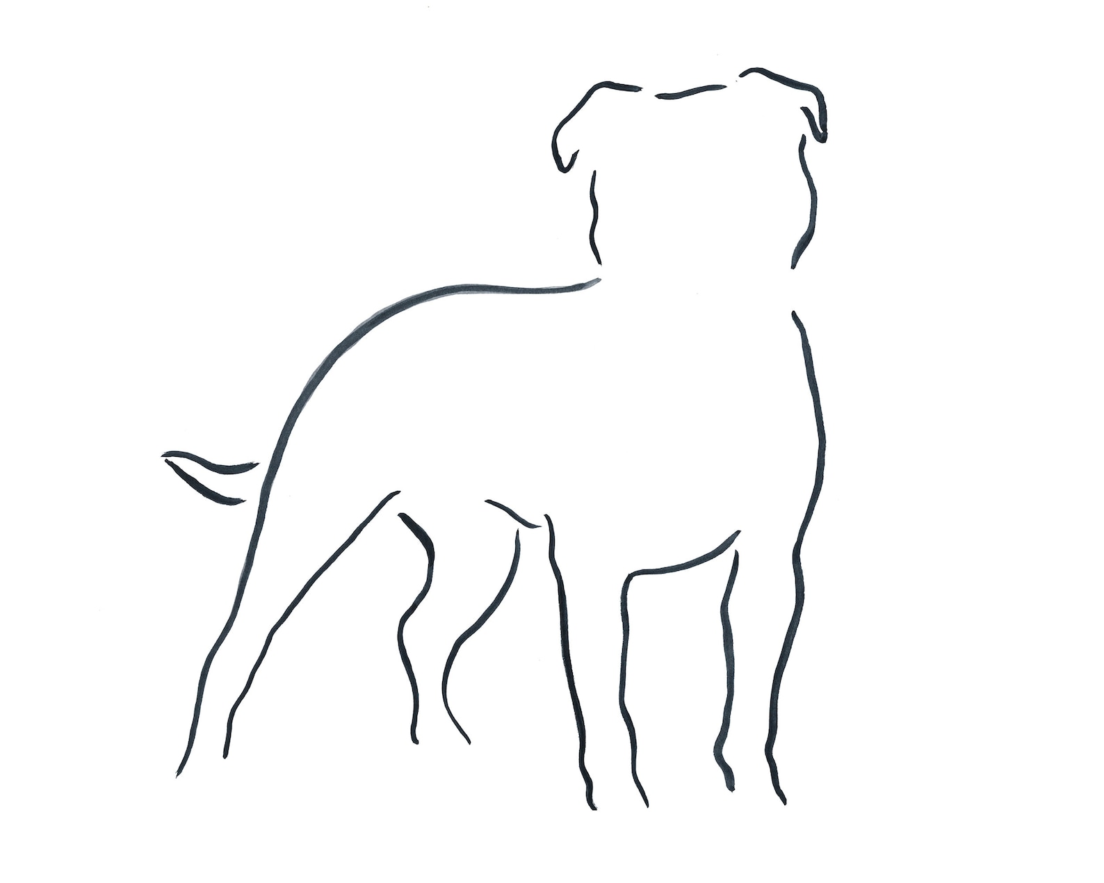 Staffordshire Bull Terrier Art Print Minimalist Staffy Wall | Etsy