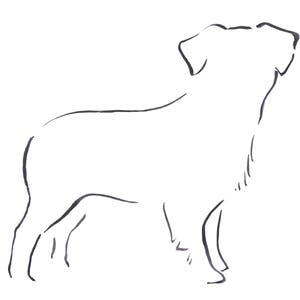 Miniature Australian Shepherd Digital Download, Printable Mini Aussie ...