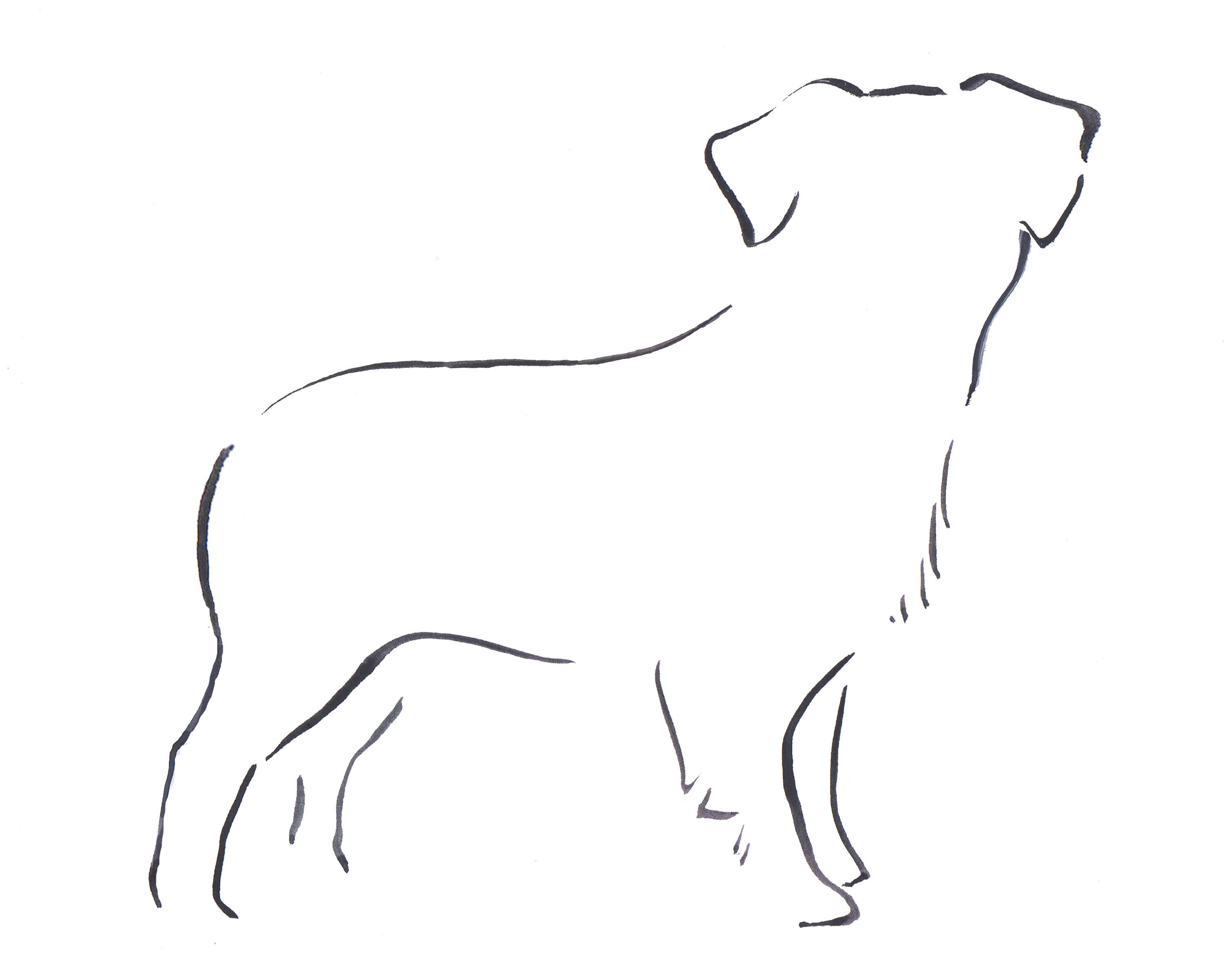 Miniature Australian Shepherd Digital Download, Printable Mini Aussie ...