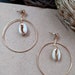 Cowrie Shell Earrings Cowrie Hoop Earrings Hoop Earrings - Etsy