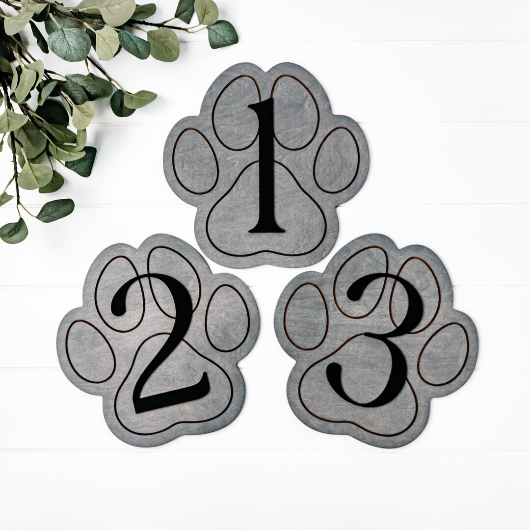 Veterinarian Office Room Numbers Business Signs for Dog Groomers Exam ...