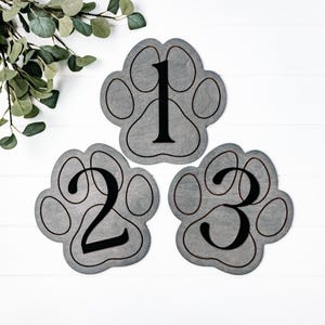 Veterinarian Office Room Numbers Business Signs for Dog Groomers Exam ...