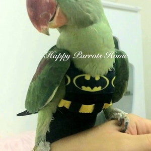 Unique!••/hero-costume-for-parrots••/bird Flight Suit With-160-cm Leash ...