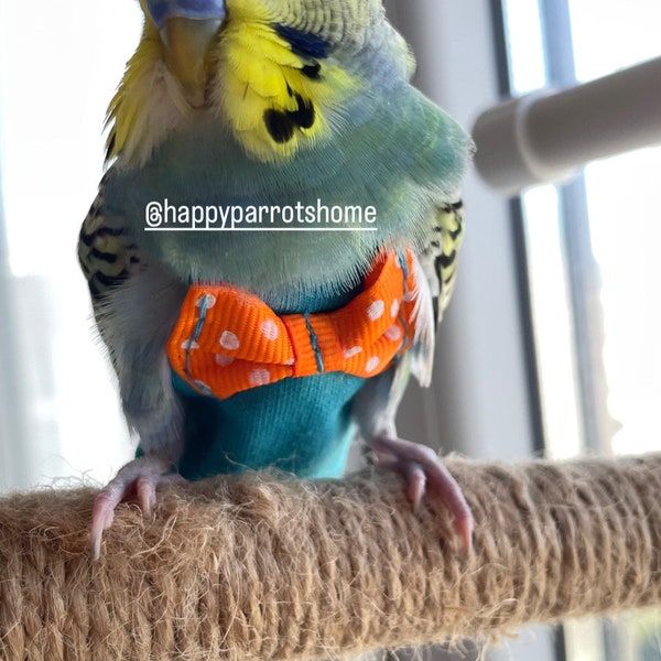 Bird Flight Suit - Etsy