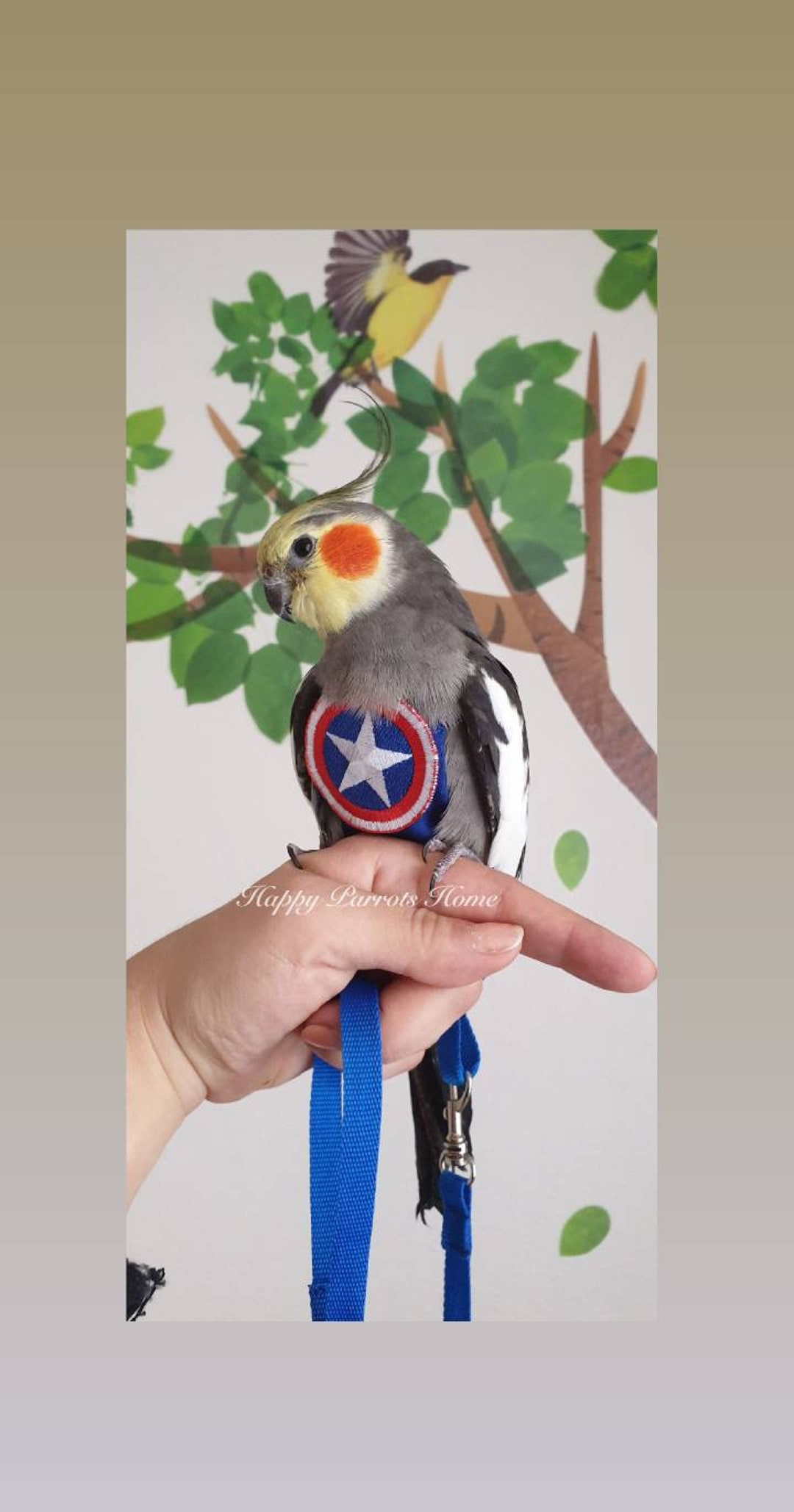 HERO Costume Bird Flight Suit With 160 Cm Leash for Cockatiel Quaker ...