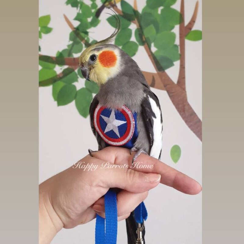 HappyParrotsHome - Etsy