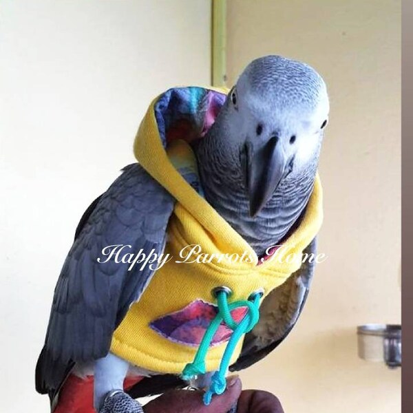 Parrot Hoodie - Etsy