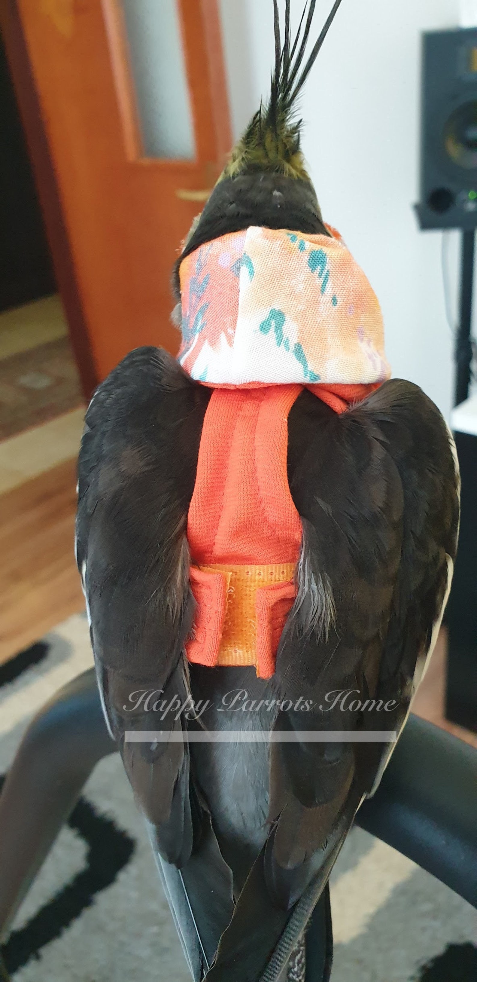 Hoodie Birdie Pet Clothing Parrot Bird Hoodie for African Grey | Etsy