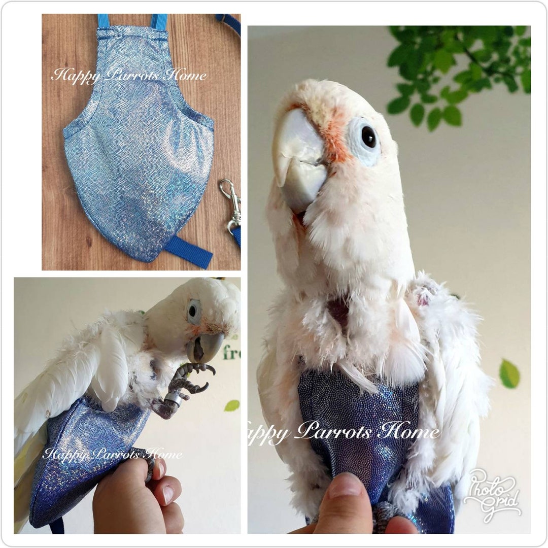 Party Bird Flight Suits With 2meters Leash for Parakeet - Etsy