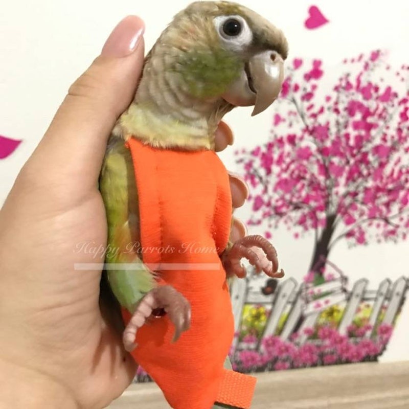 Bird Flight Suit - Etsy