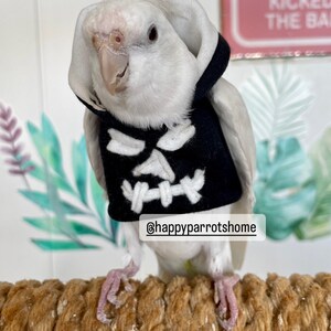 Skull Hoodie for Cockatiel, Parrot, and Larger Birds ...