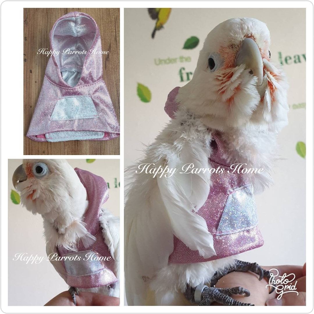 Party Bird// Bird Parrot Hoodie Pet Clothing for Cockatiel African Grey ...