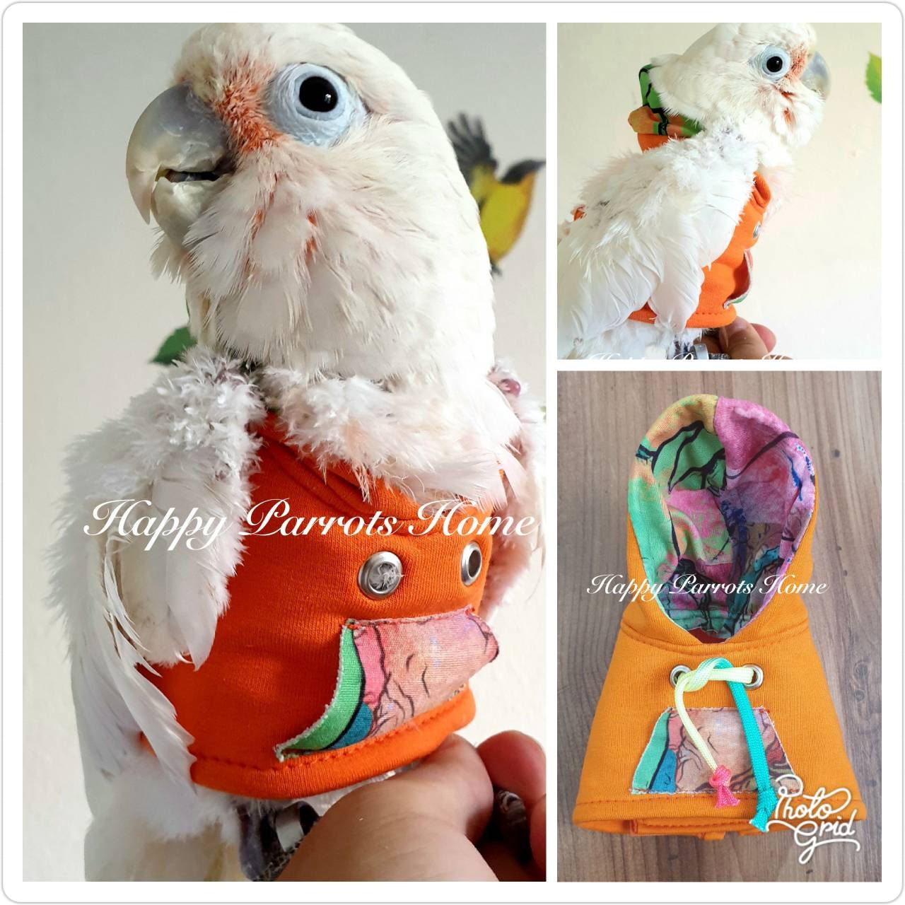Orange//hoodie Birdie Pet Clothing Parrot Bird Hoodie for - Etsy