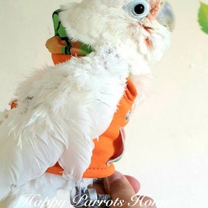 Orange-//hoodie Birdie Pet Clothing Parrot Bird Hoodie for Cockatiel ...