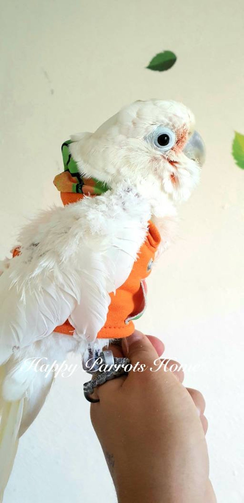 Orange//hoodie Birdie Pet Clothing Parrot Bird Hoodie for - Etsy