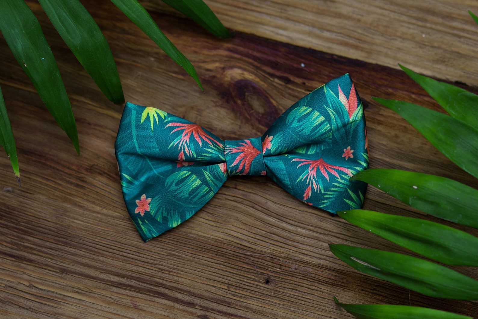 Tropical Bow Tie, Creative With Flowers and Leaves. Hawaiian Style ...