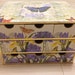 Mini Chest of Drawers Butterflies and Dragonflies, Desk Organizer, Make ...