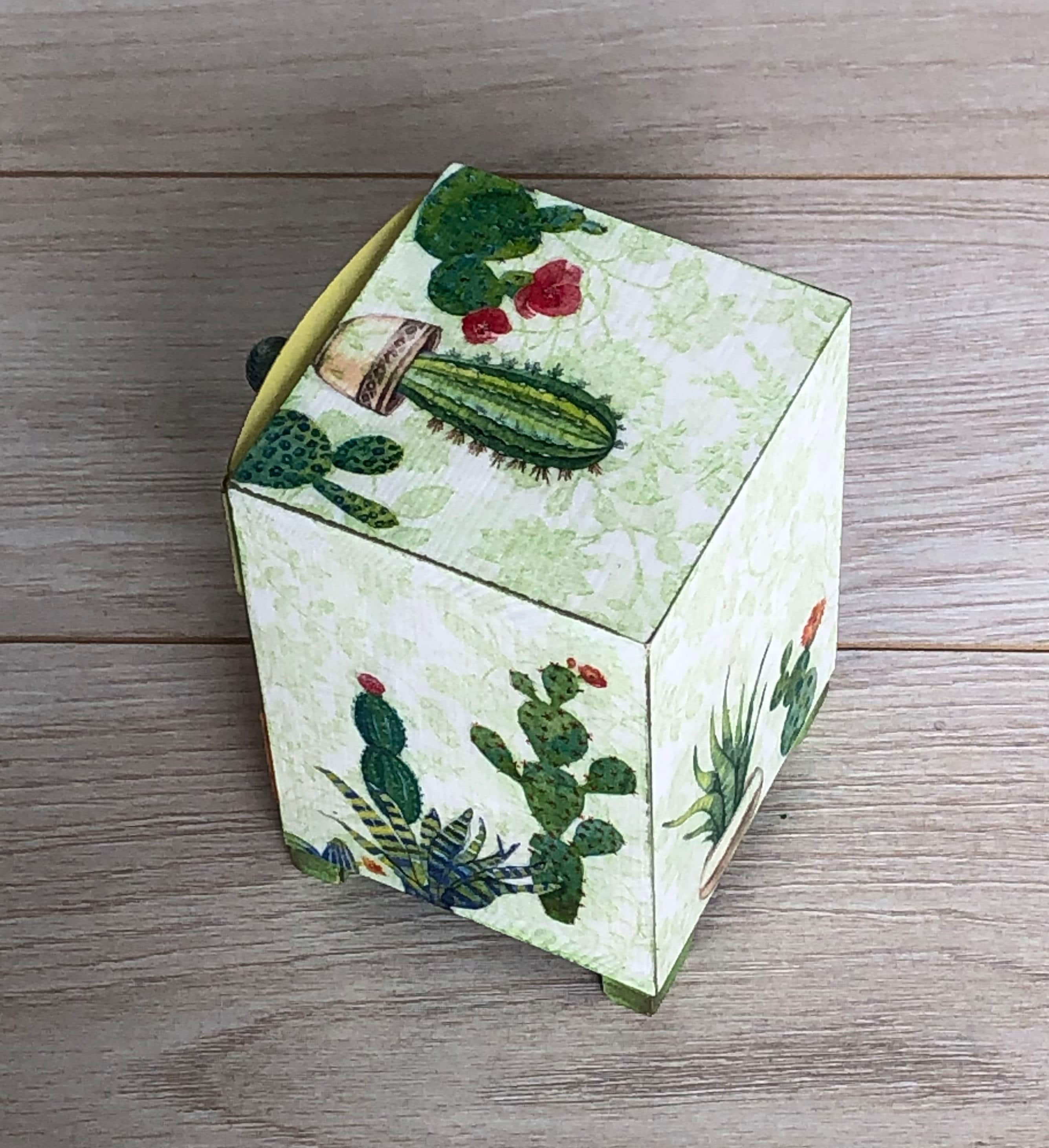 Trinket Box Сactus Small Jewelry Box Storage Chest Mini | Etsy