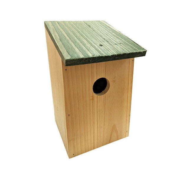 Bird Box - Etsy UK