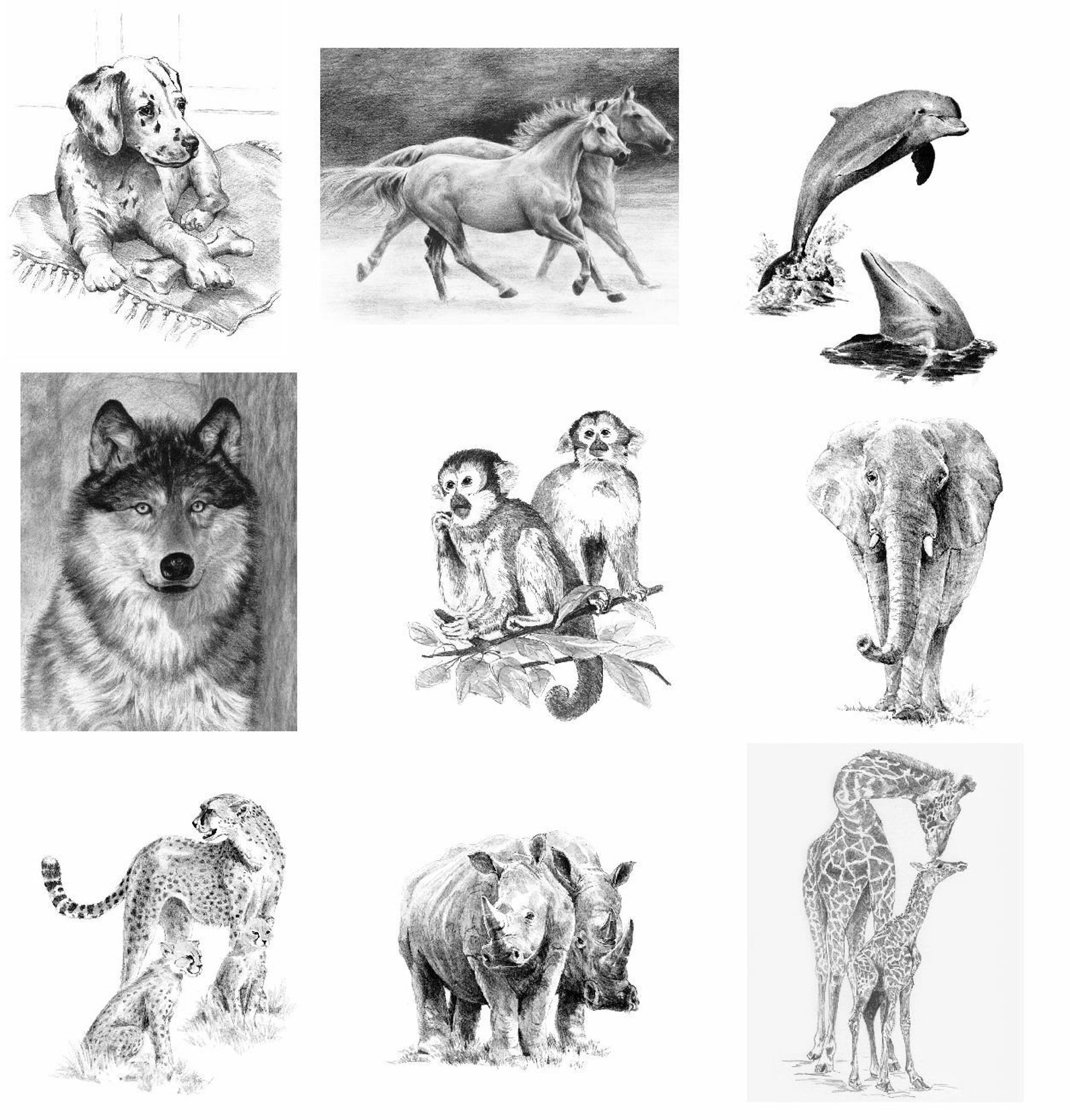 Animals & Landscapes Sketching Made Easy Drawing Kits Graphite | Etsy