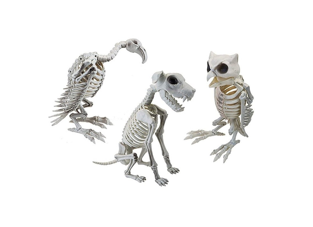 Posable Animal Skeleton Halloween Decorations Realistic Haunted House ...