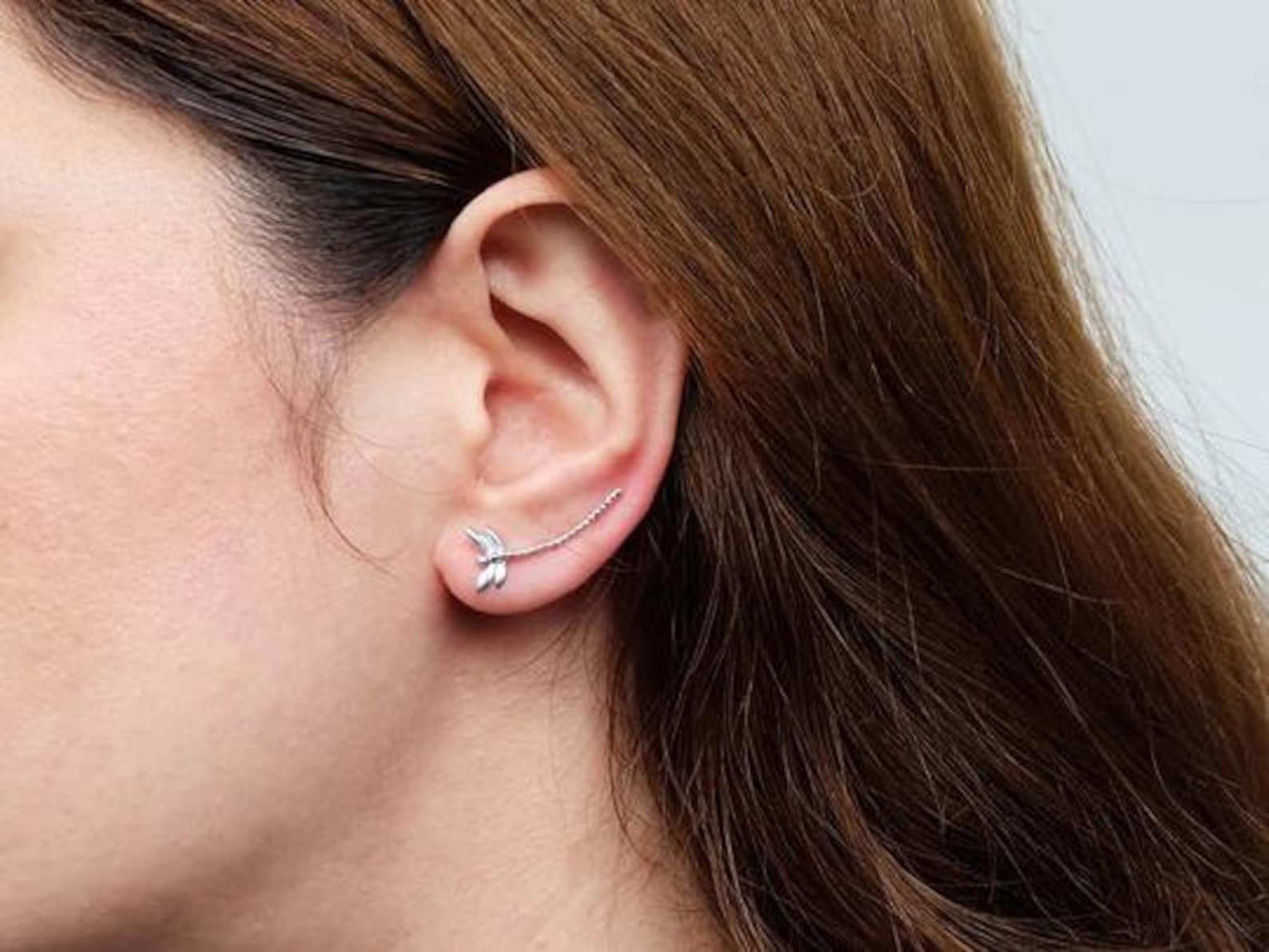 Dragonfly Earrings, Silver Dragonfly Earrings, Dragonfly Climber ...