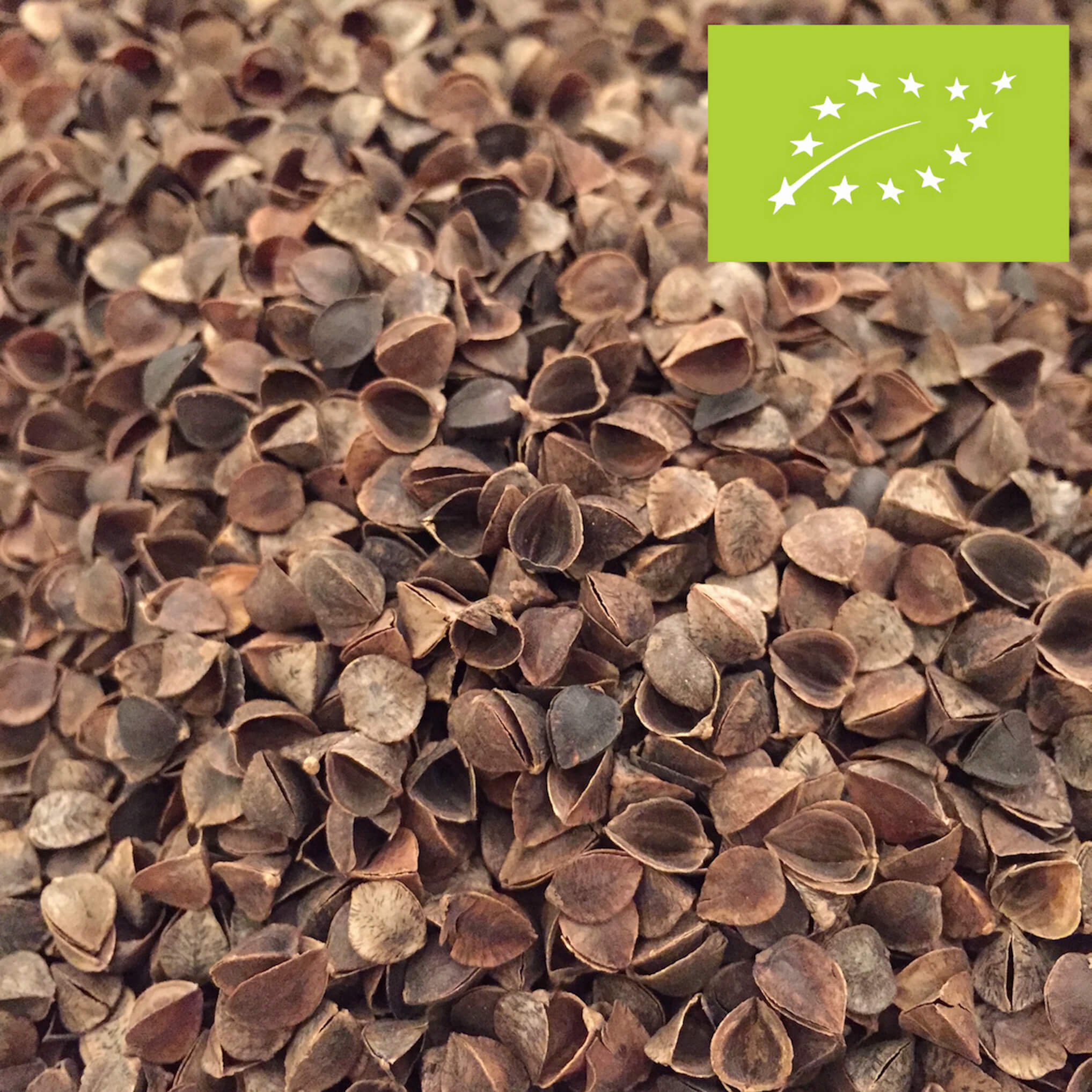 Zeitgeist Natural Indigo Organic Buckwheat Hull Zafu ZGZ5 - Etsy