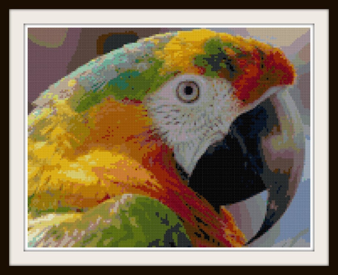 Parrot Cross Stitch Pattern Bird Cross Stitch PDF Download - Etsy Canada