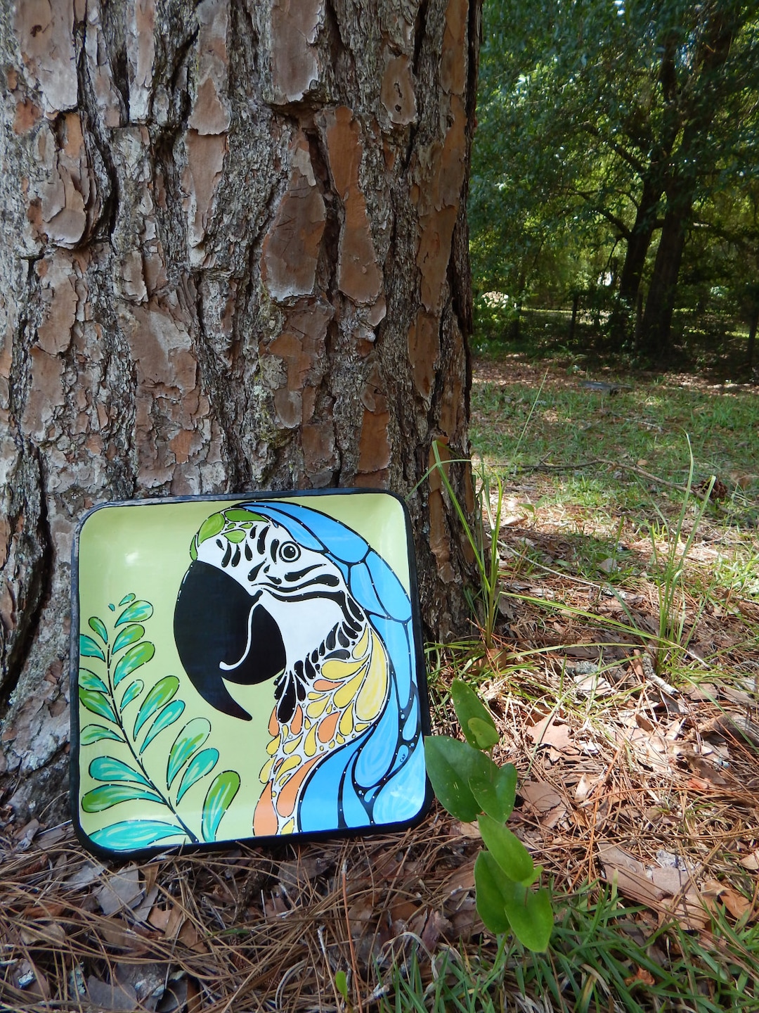Parrot Wooden Tray Hand Painted - Etsy