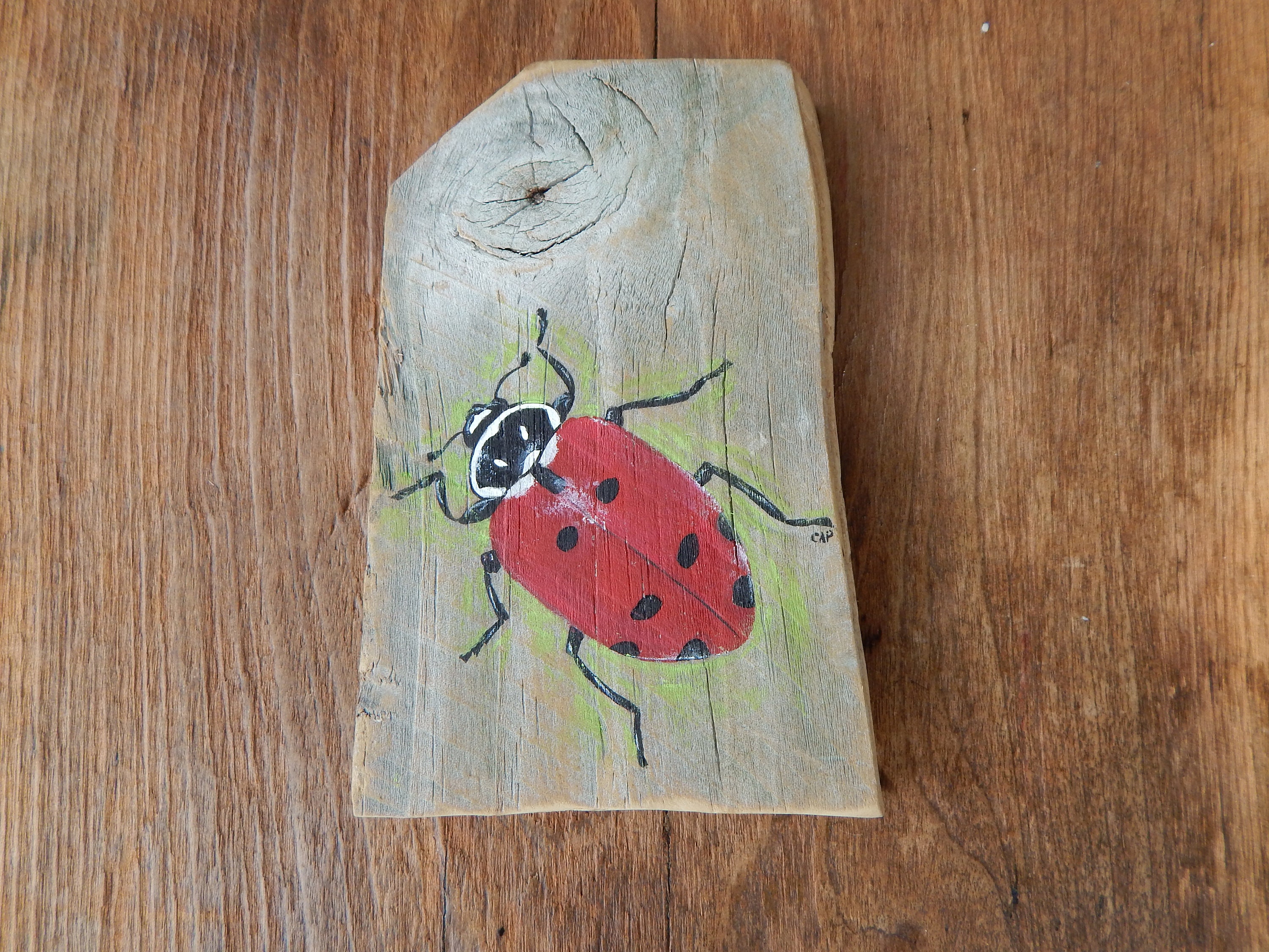 Ladybug Painting on Reclaimed Cedar Wood / Ladybug Art, Ladybug Gift ...