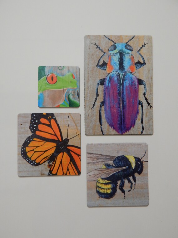 Garden Visitors Magnet Set - Etsy