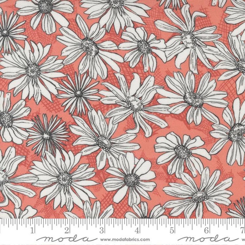 Moda Baby Fabric - Etsy