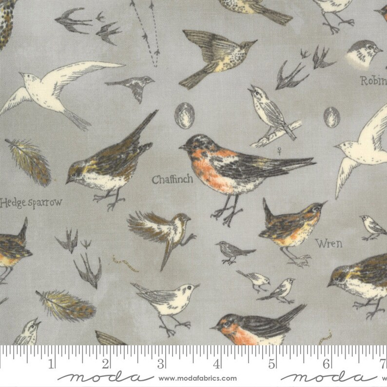 Moda Botanicals Vintage Grey 16910 12 Birds 100% Cotton Fabric Sold by ...