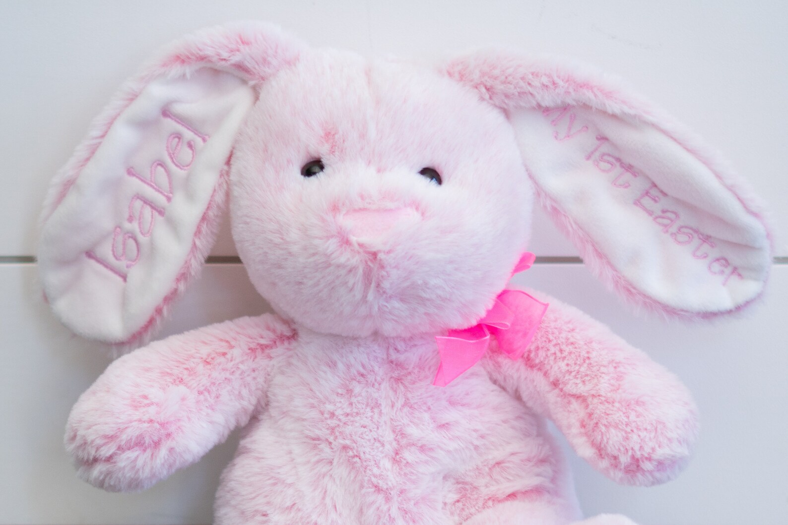 Personalized Bunny // Easter Bunny - Etsy