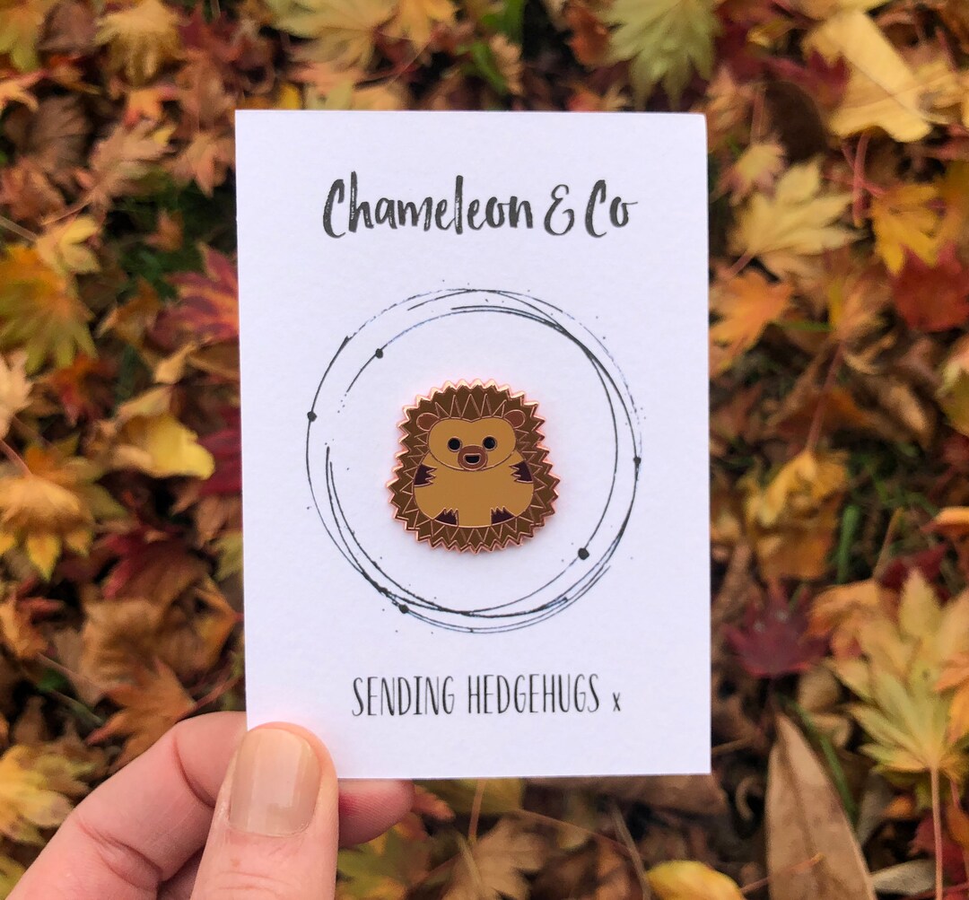 Sending Hedgehugs Hedgehog Pin Badge, Hedgehog Gift, Gift for Friend ...