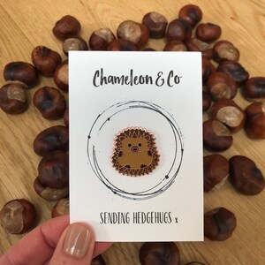 Sending Hedgehugs Hedgehog Pin Badge, Hedgehog Gift, Gift for Friend ...