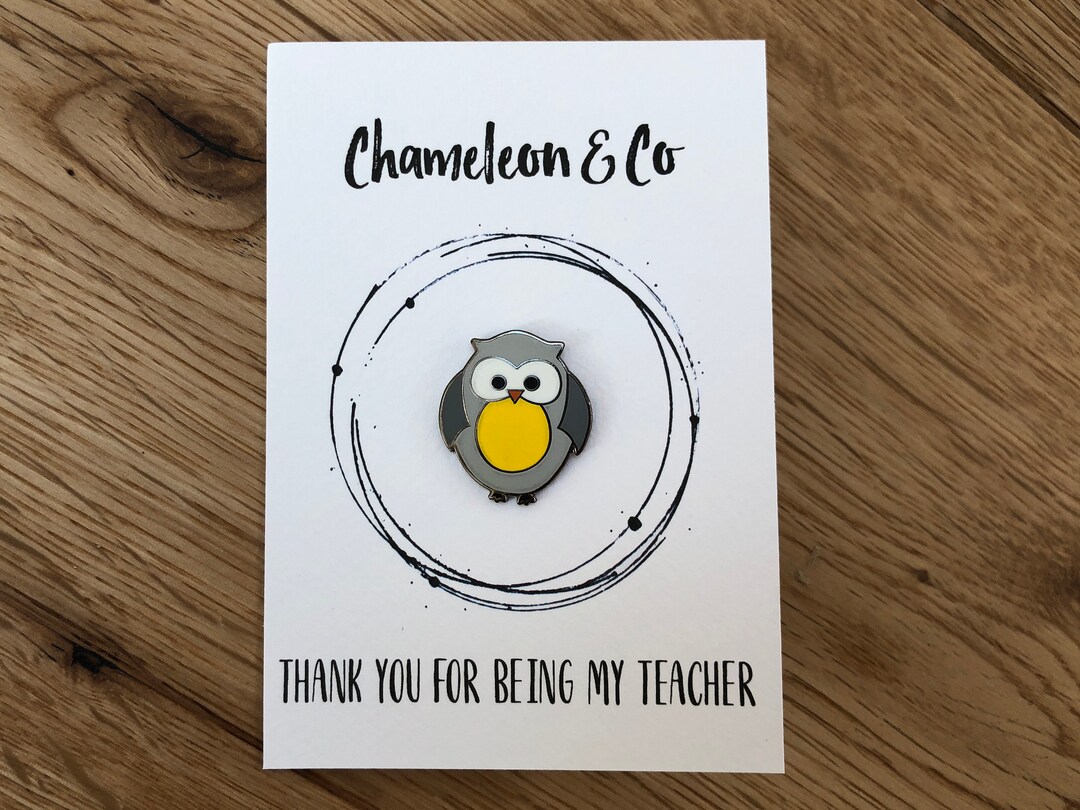 Thank You Teacher Owl Pin Gift Teacher Gift Teacher - Etsy