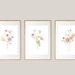 Watercolor Botanical Print Set of 3 Spring Flowers Prints - Etsy