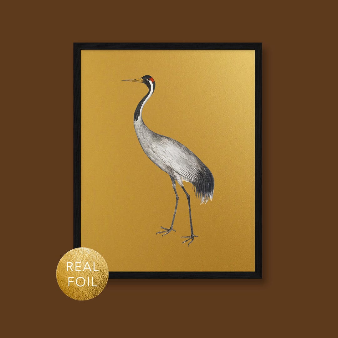 Sandhill Crane Print, Vintage Bird Wall Art, Elegant Bird Animal Poster ...