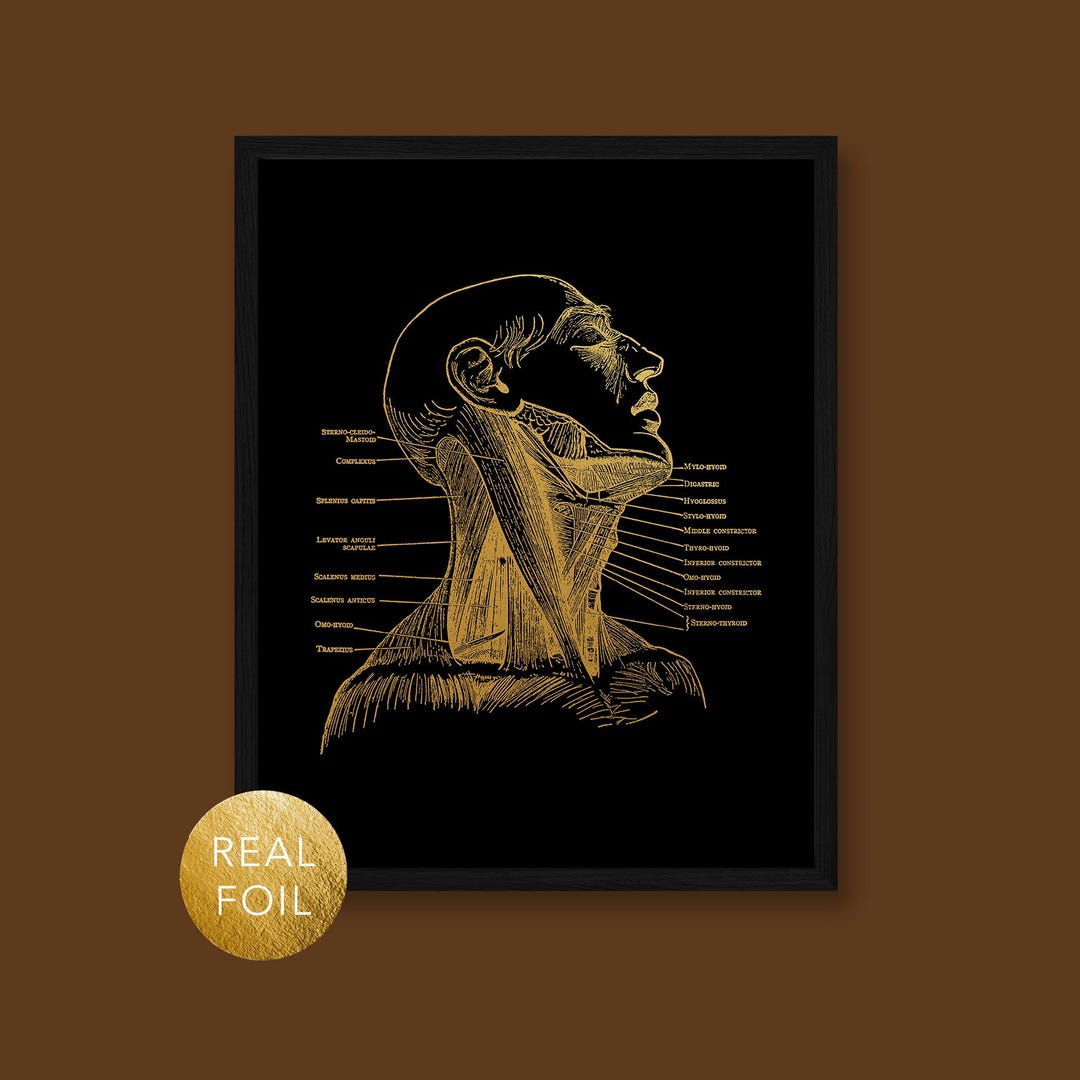 Neck Anatomy Gold Foil Print Medical Wall Decor Human Neck Muscles ...