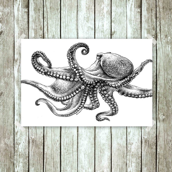 Octopus Art Black and White - Etsy