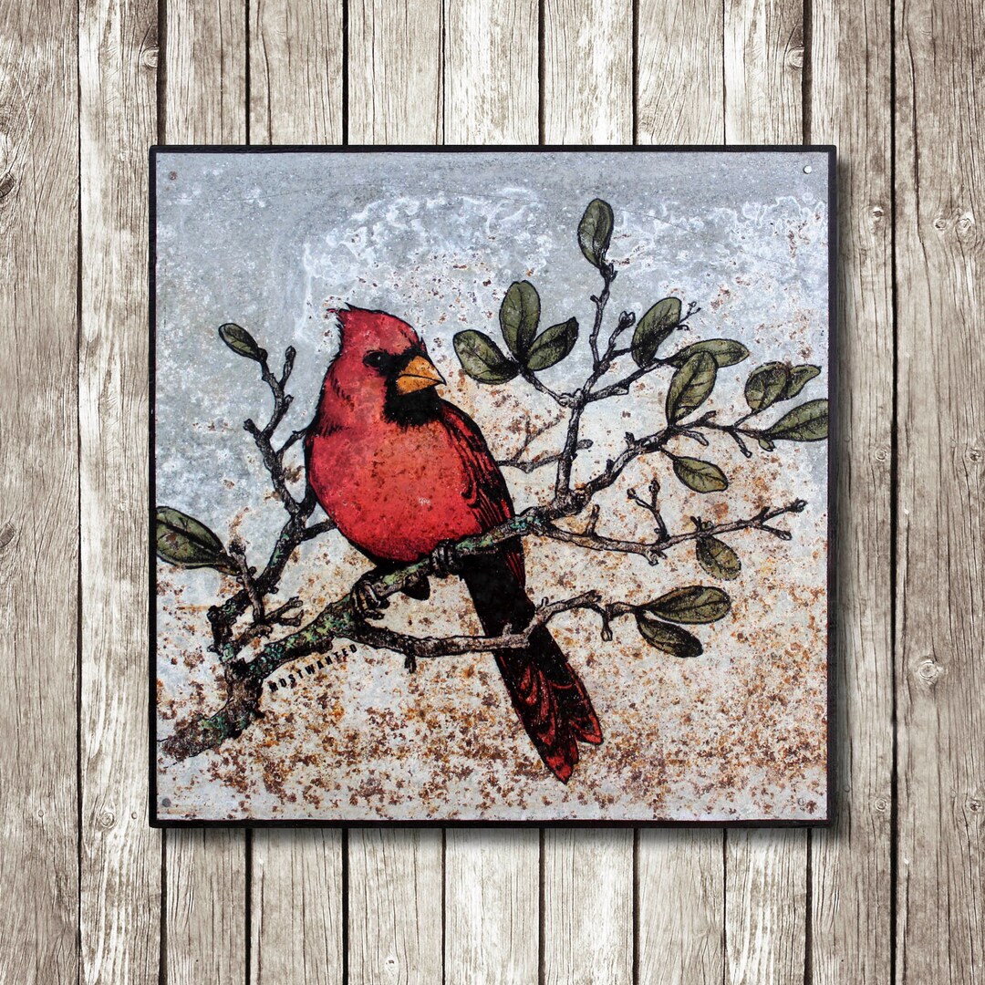 Cardinal, Red Bird, Colored Pencil Drawing, Artwork Transfer on Rusty ...