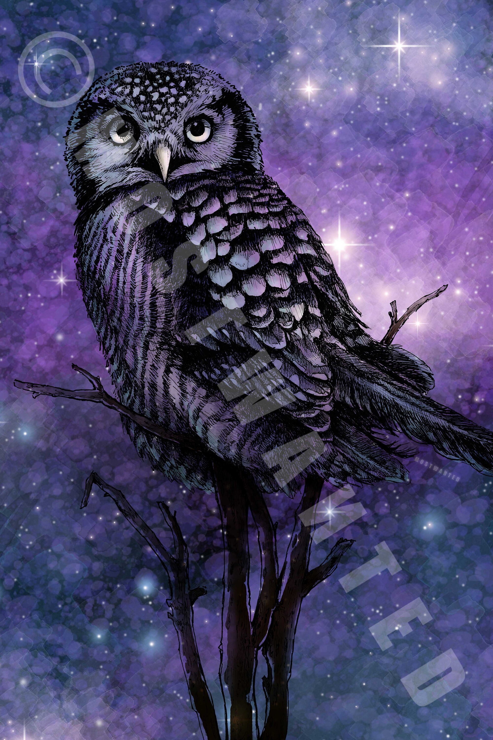 Framed Poster Owl With Star Sky Galaxy Cosmic Universe - Etsy