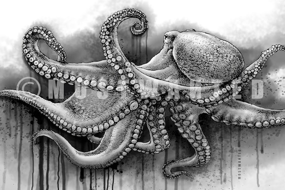 Octopus Ink Illustration