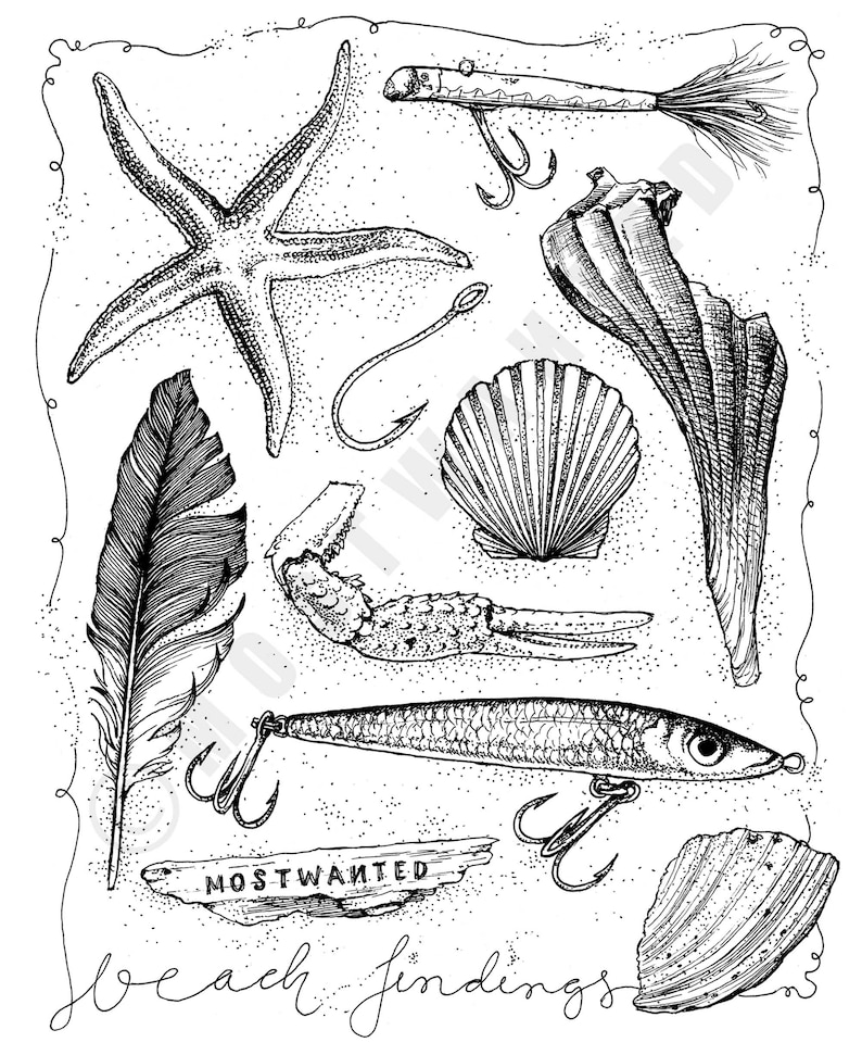 Framed Poster Beach Findings Flotsam Starfish Lures - Etsy